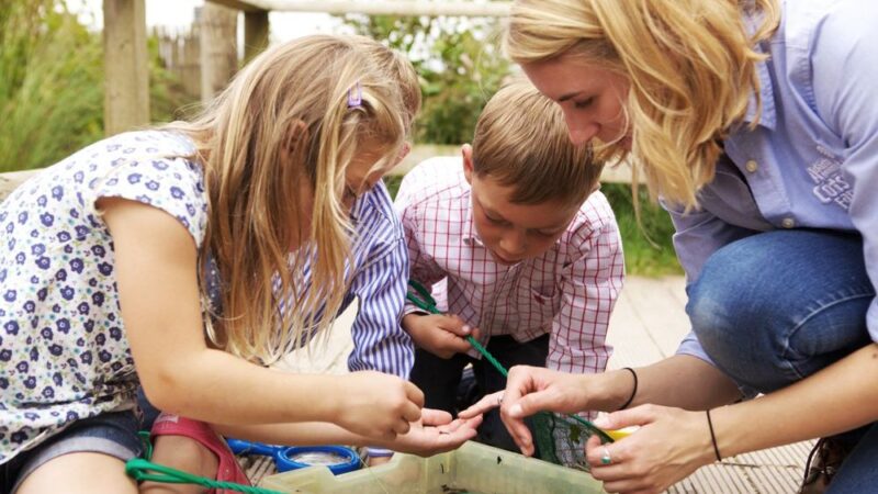 Adams Farm - Adam's Cotswolds Farm Park