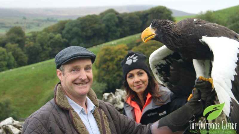 The Hawk Experience - Spectacular Birds of Prey and Falconry Displays