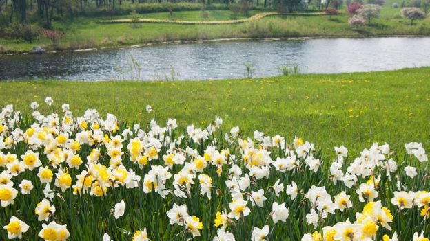 A walk in Kirkby Lonsdale - The Outdoor Guide