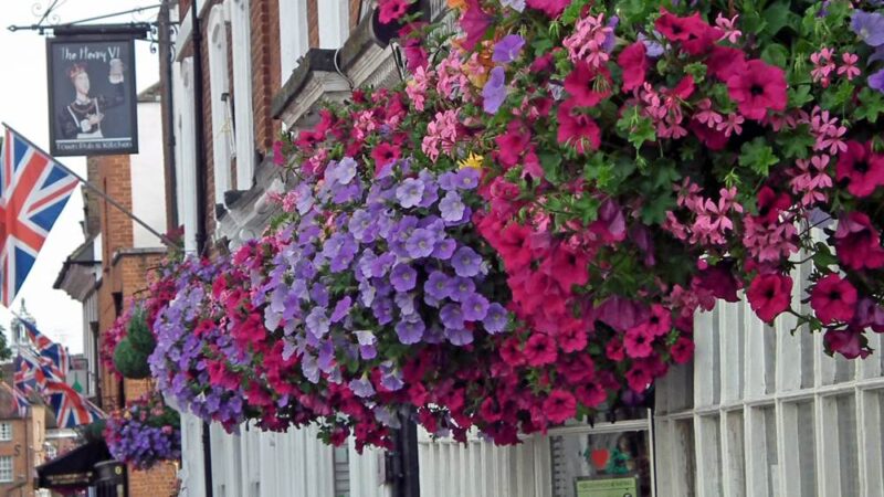 Eton Walkway, Berkshire