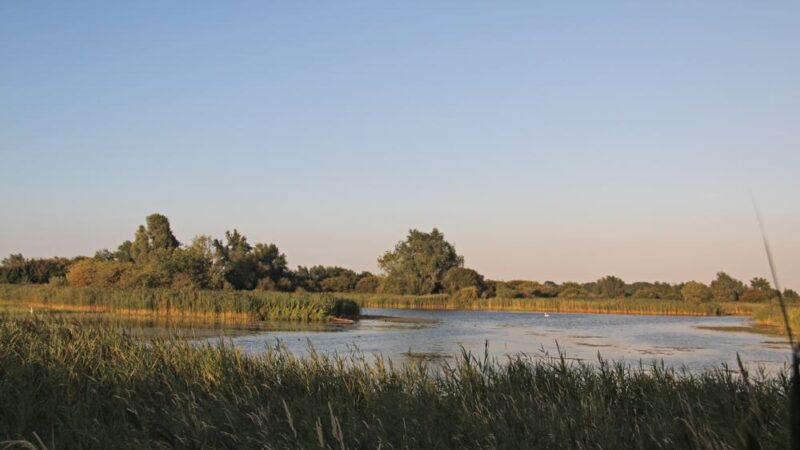 National Trust Wicken Fen Wildlife Walk - The Outdoor Guide