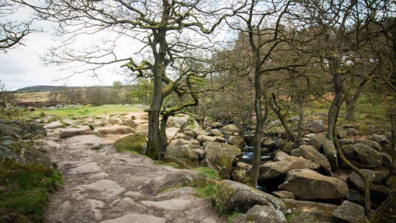 National Trust Longshaw Estate walk, Peak District - The Outdoor Guide