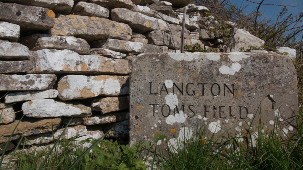 Dancing Ledge Walk, Dorset - The Outdoor Guide