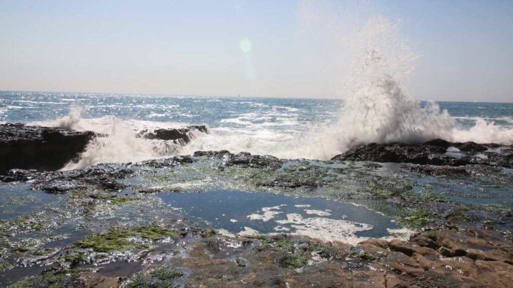 Dancing Ledge Walk, Dorset - The Outdoor Guide