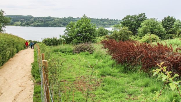 Hambleton Peninsula Dog Walk, Rutland Water - The Outdoor Guide