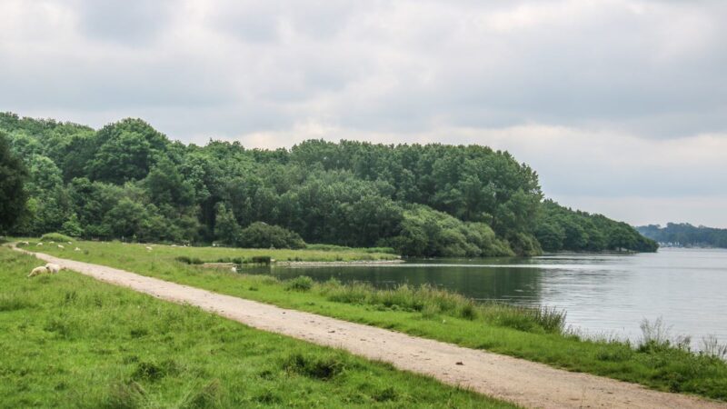 Hambleton Peninsula Dog Walk, Rutland Water - The Outdoor Guide