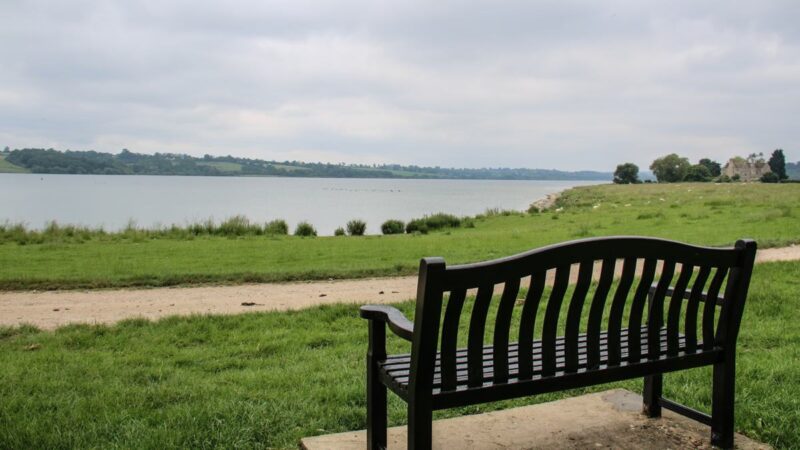 Hambleton Peninsula Dog Walk, Rutland Water - The Outdoor Guide