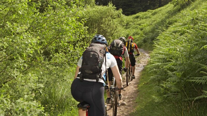 TOG Cycle - The Outdoor Guide