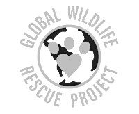 Global Wildlife Rescue Project – The Outdoor Guide