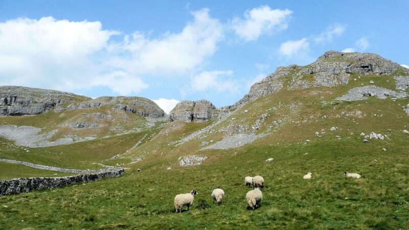 Settle loop accessible walk, Yorkshire Dales - The Outdoor Guide