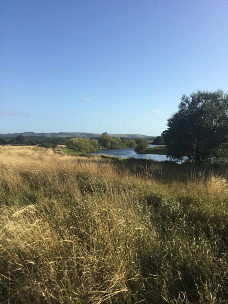 Pulborough WildArt Trail - The Outdoor Guide