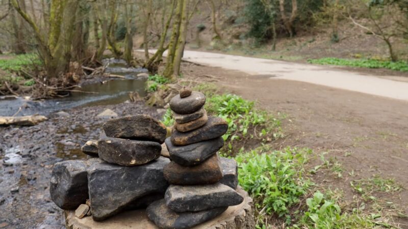 Porter Brook Valley Walk Sheffield. Encliffe Park Walk in the Outdoor City.