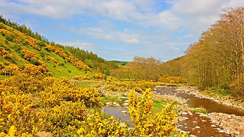 Gateway to the Cheviots Walk, Northumberland - The Outdoor Guide