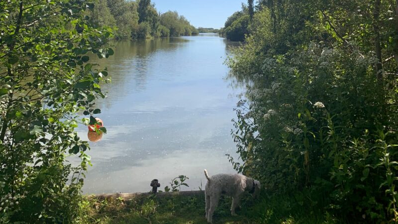 Westbere Lake Walk - The Outdoor Guide