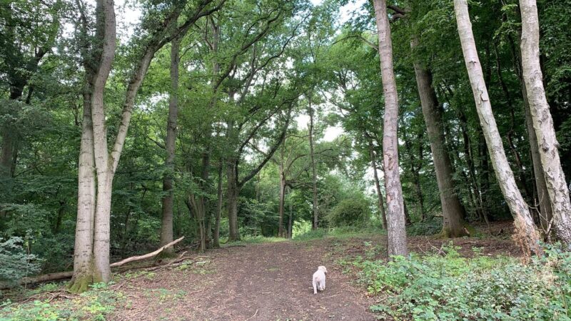 Dode Church and the Lost Village - The Outdoor Guide