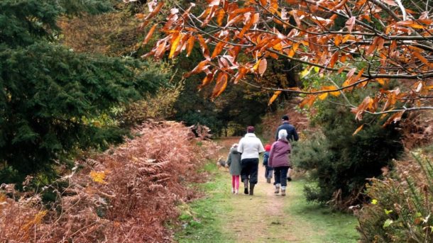 The Coleridge Way Walk - The Outdoor Guide