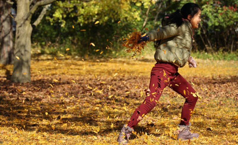 Getting out into nature with Children - The Outdoor Guide