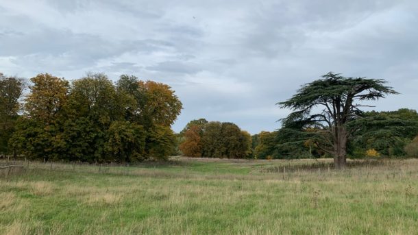 Coombe Abbey Country Park - Discover Capability Brown - The Outdoor Guide