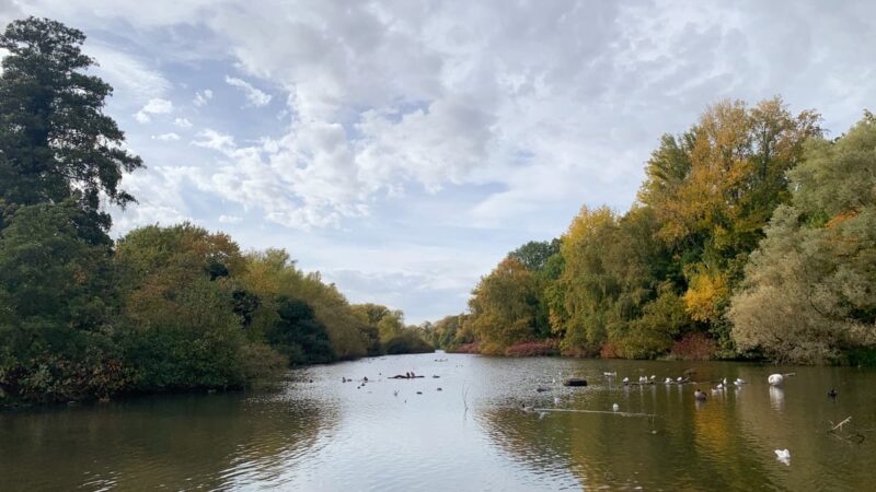 Coombe Abbey Country Park - Heron's Way - The Outdoor Guide
