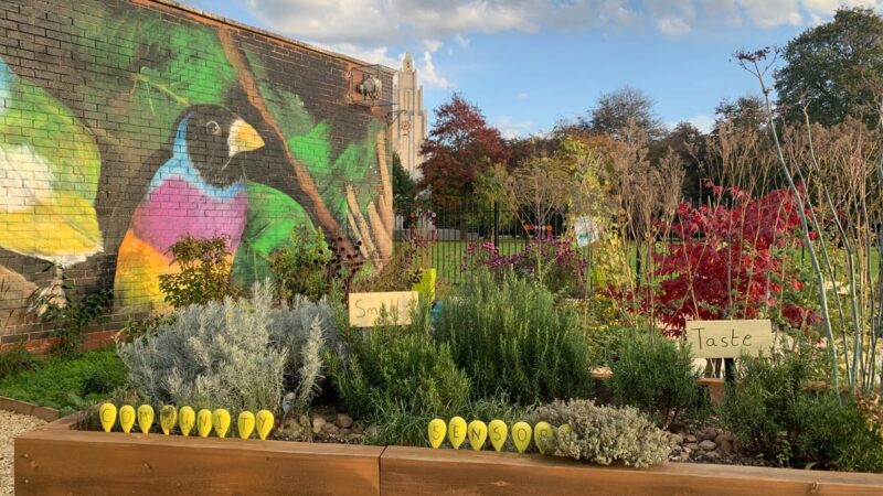 War Memorial Park - The Outdoor Guide