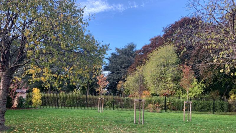 War Memorial Park - The Outdoor Guide
