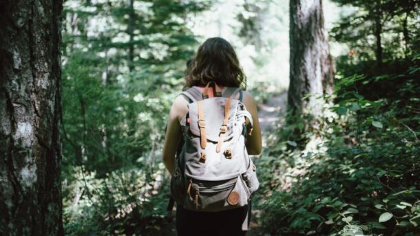 The Importance of Protecting Insects when Outdoors - The Outdoor Guide