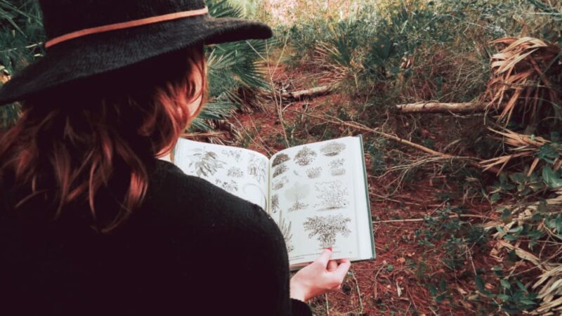 The Importance of Protecting Insects when Outdoors - The Outdoor Guide