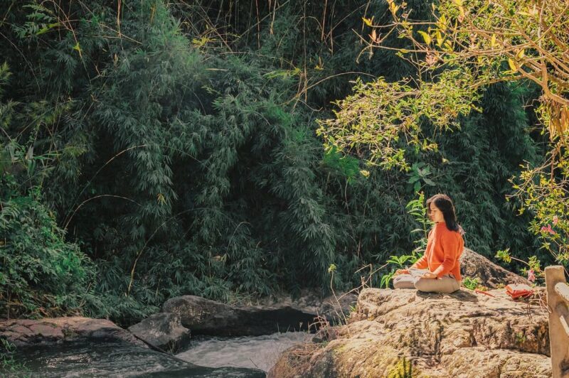 Nature Therapy · How it can help addiction recovery