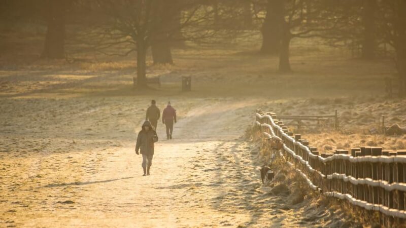 Winter Walks: Why It's Good To Keep Moving In The Colder Months - The ...