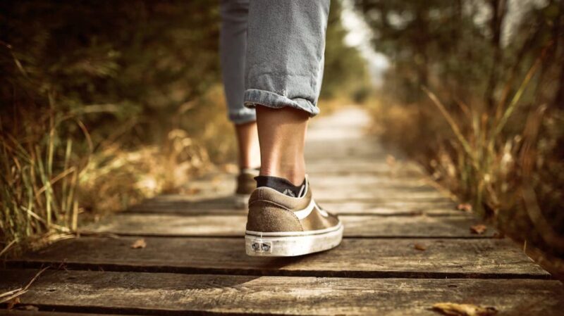 Daily Routine, Walking - The Outdoor Guide