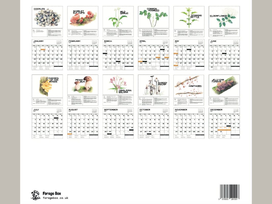 2025 Foraging Calendar - The Outdoor Guide