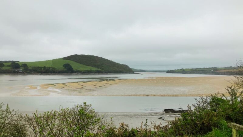 Camel Trail Accessible Walk - Wadebridge to Padstow Estuary - The ...