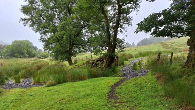 Stage 1 - Rhyd-y benwch (Hafren Forest car park) to Llangurig - The ...