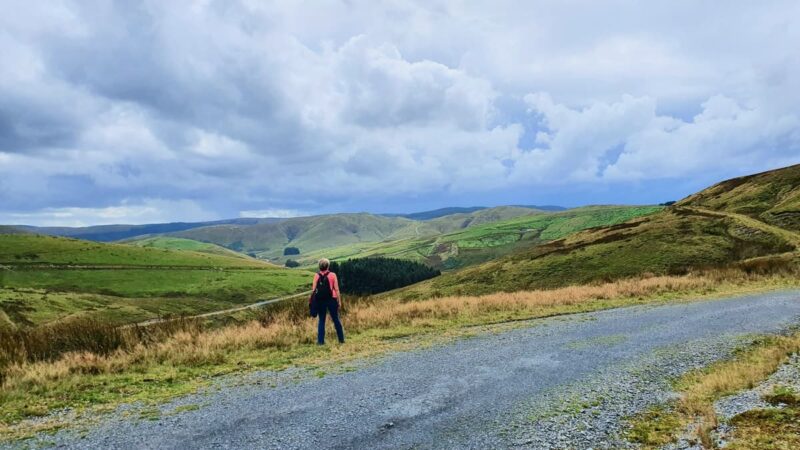 Stage 1 - Rhyd-y benwch (Hafren Forest car park) to Llangurig - The ...